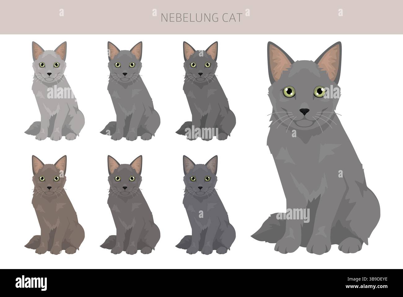 Nebelung Cat clipart. All coat colors set. All cat breeds ...