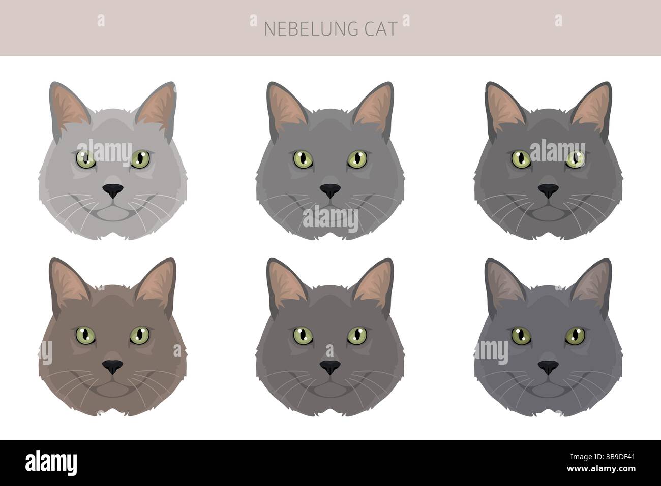 Nebelung Cat clipart. All coat colors set. All cat breeds ...