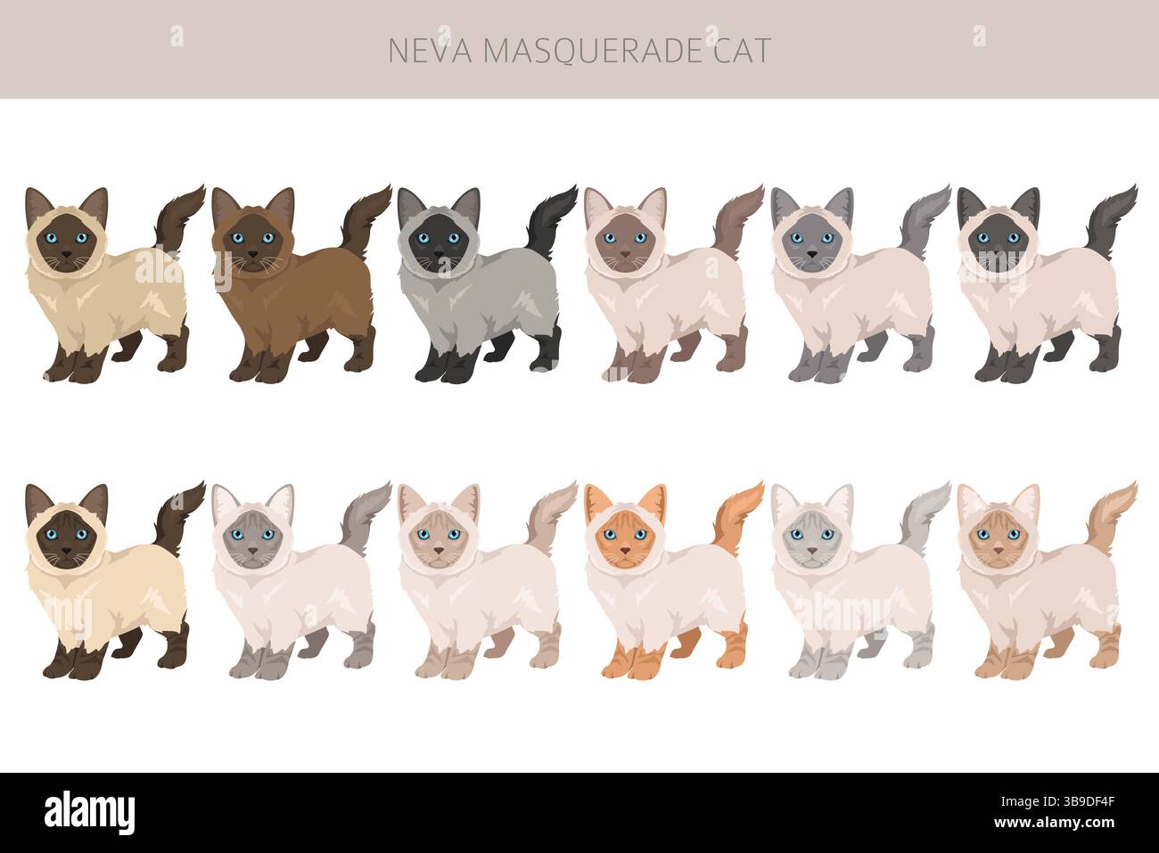 Neva Masquerade Cat clipart. All coat colors set. All cat breeds ...