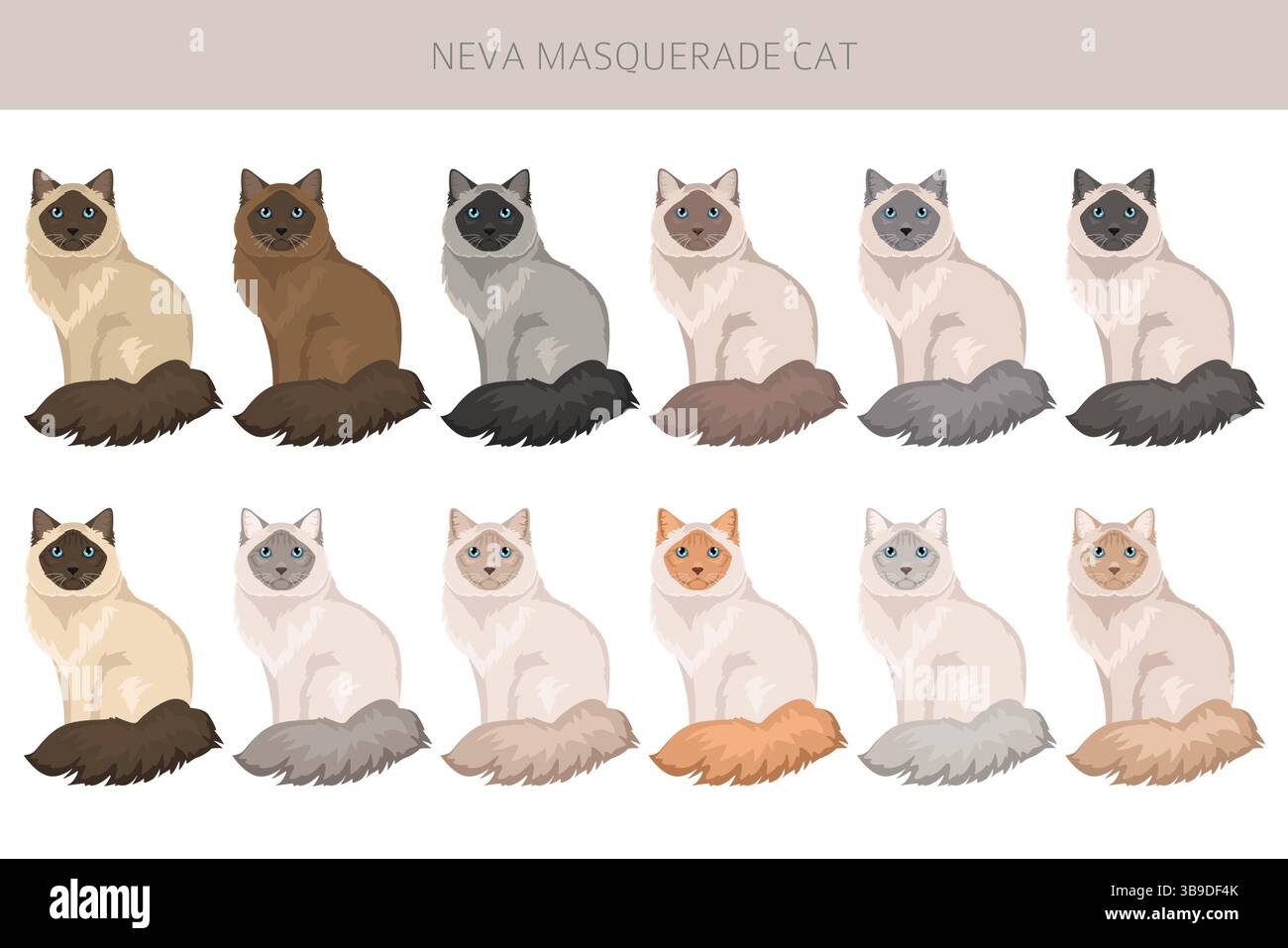 Neva Masquerade Cat clipart. All coat colors set. All cat breeds ...