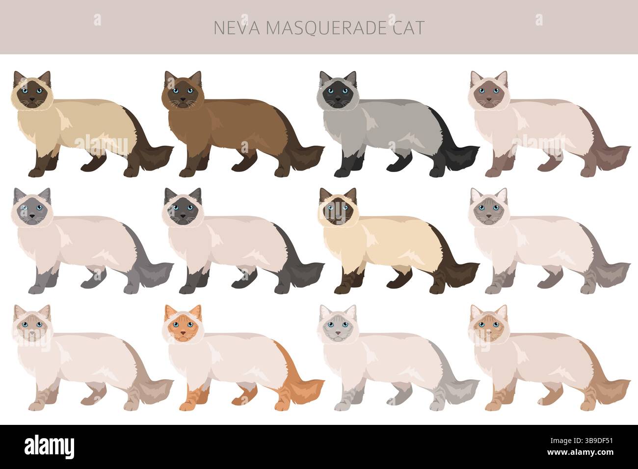 Neva Masquerade Cat clipart. All coat colors set. All cat breeds ...