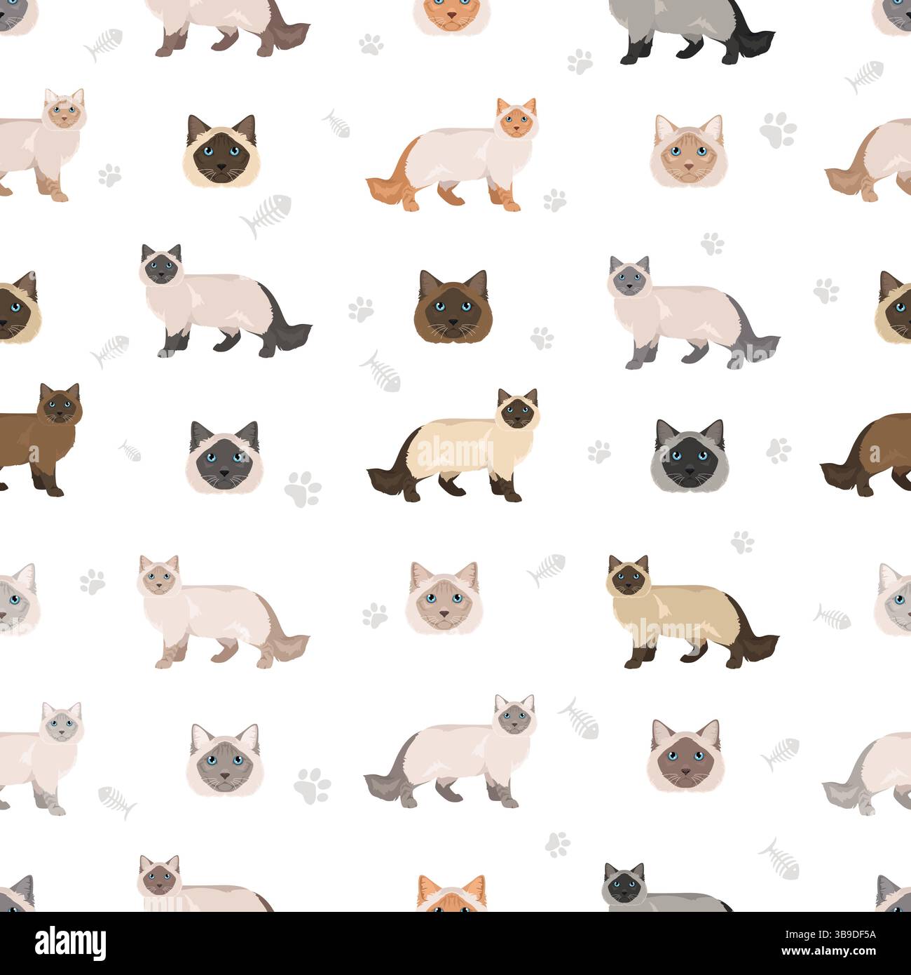 Neva Masquerade Cat clipart. All coat colors set. All cat breeds ...