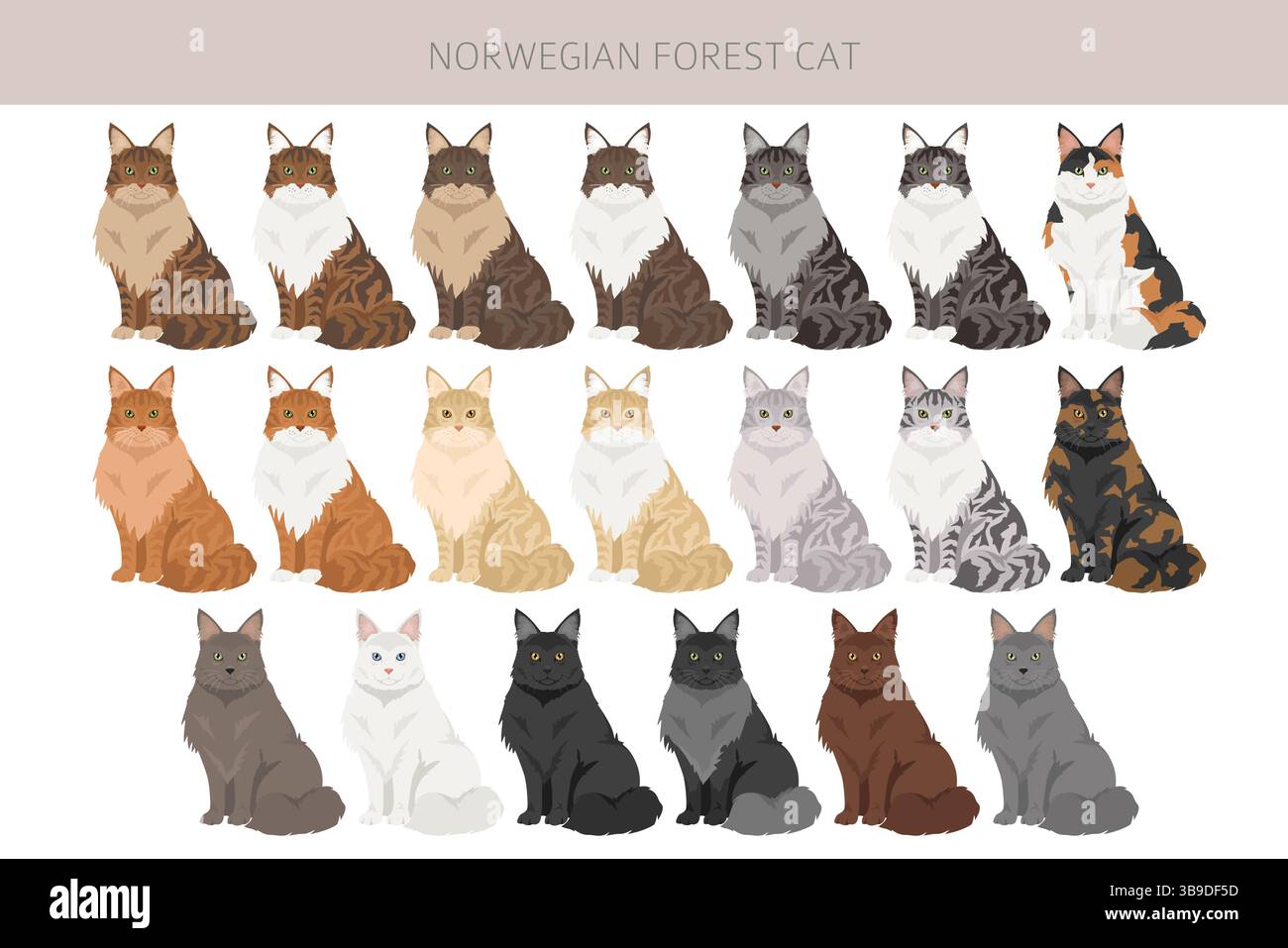 Norwegian Forest Cat clipart. All coat colors set. All cat breeds ...