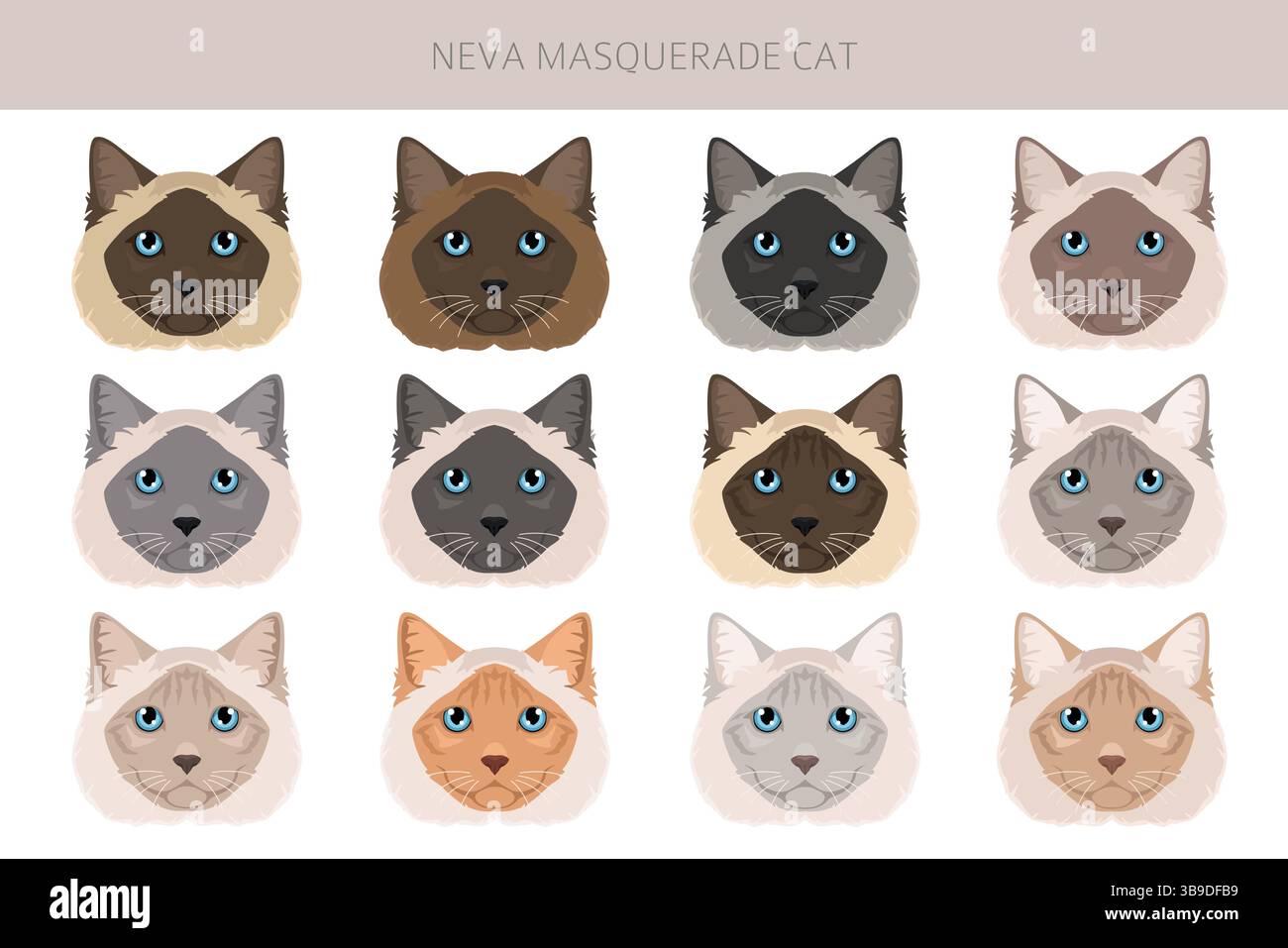 Neva Masquerade Cat clipart. All coat colors set. All cat breeds ...