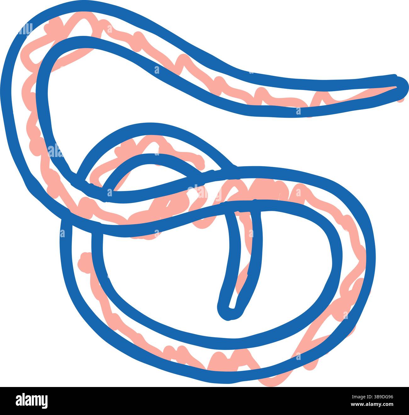 roundworm parasite icon doodle illustration Stock Vector Image & Art ...