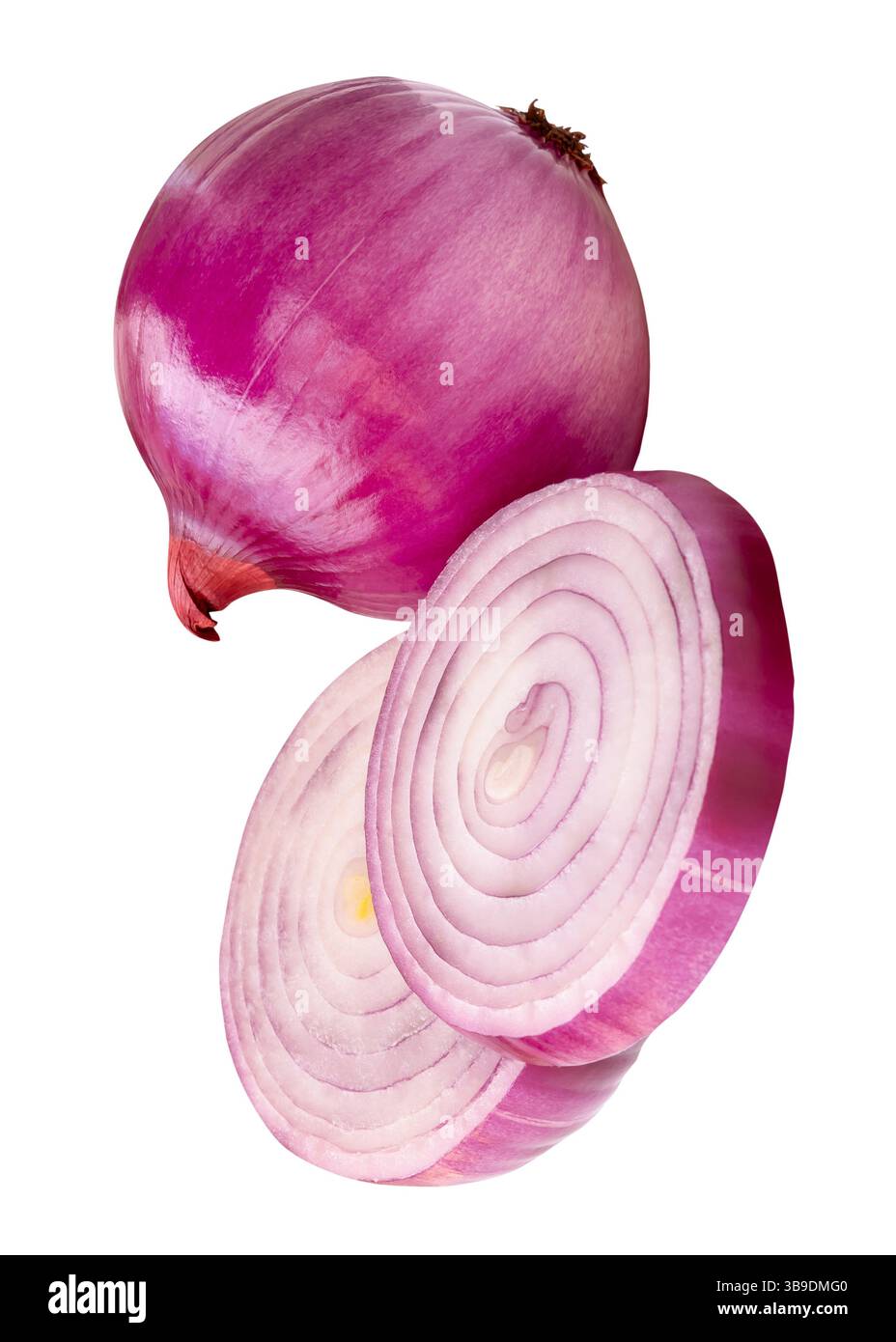 Single fresh peeled red or purple Spanish onion bulb with two onion ...