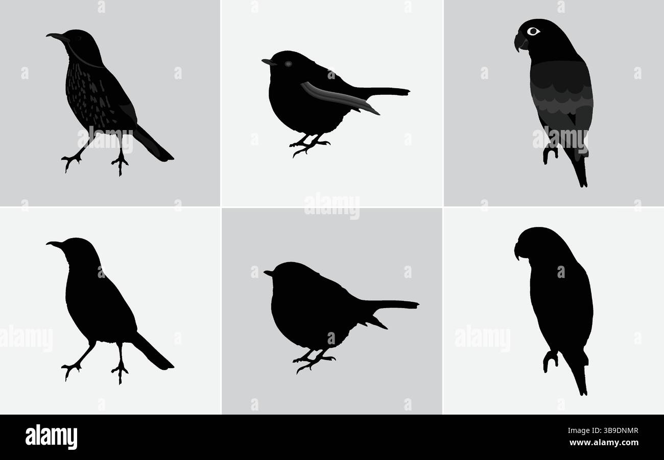 Six Minimalist Black Bird Silhouette Illustrations: Vector Icons for ...