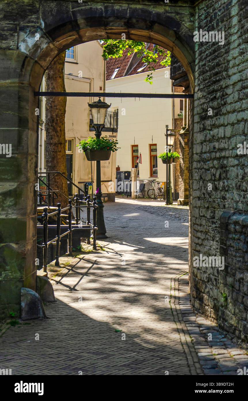 Gouda 2025 hi-res stock photography and images - Alamy