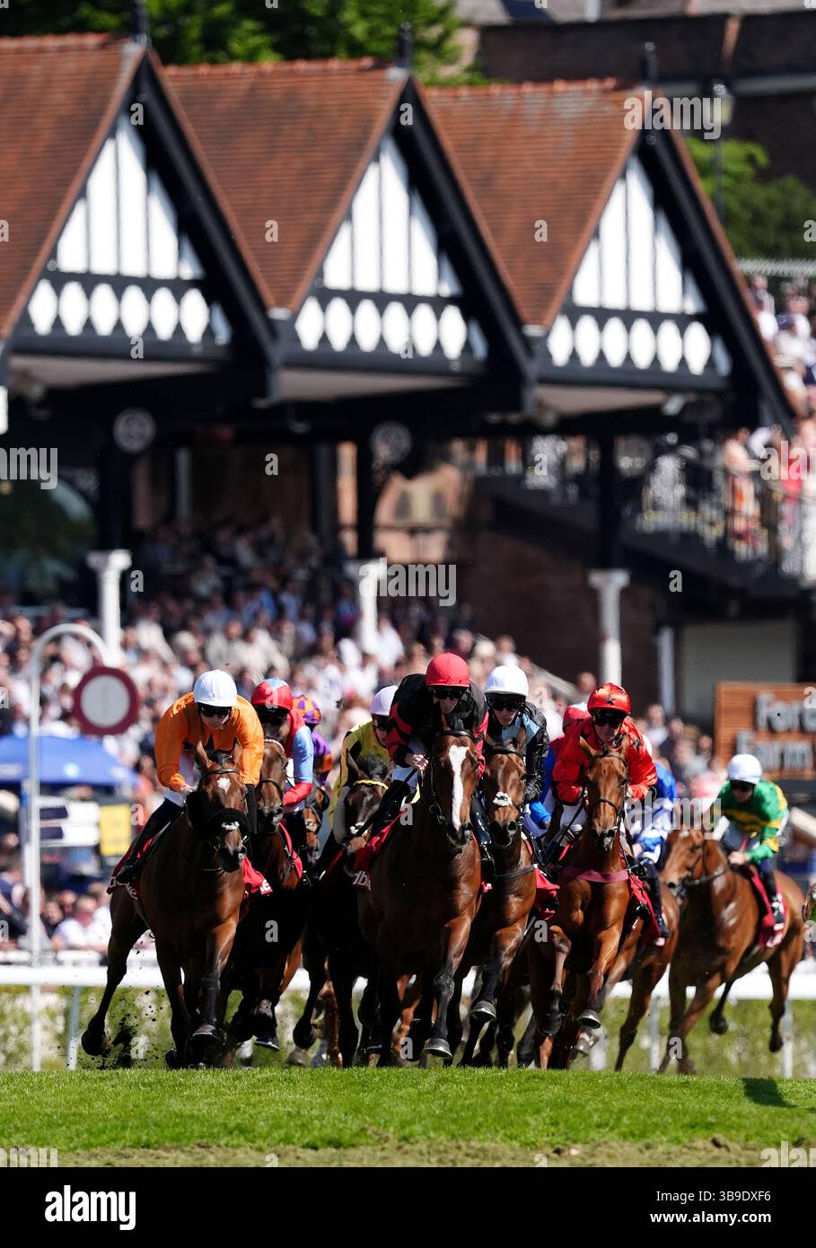 Runners and riders compete in the Ladbrokes Chester Cup at Chester ...