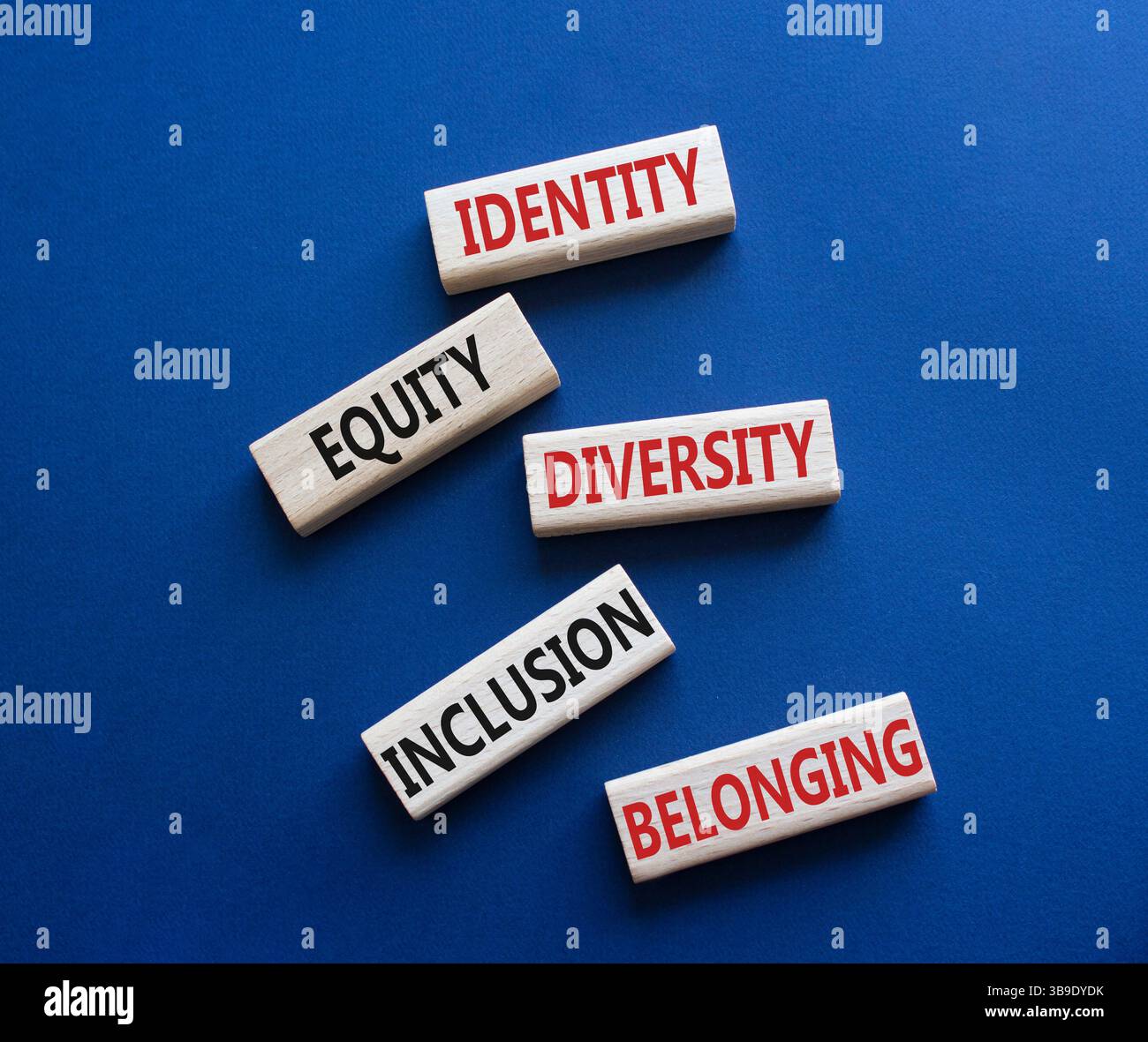 Identity Equity Diversity Inclusion Belonging symbol. Concept words ...
