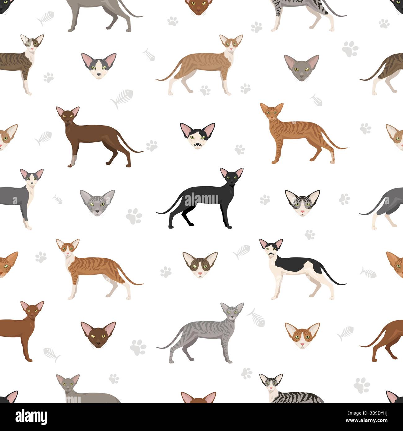 Oriental Shorthair Cat clipart. All coat colors set. All cat breeds ...