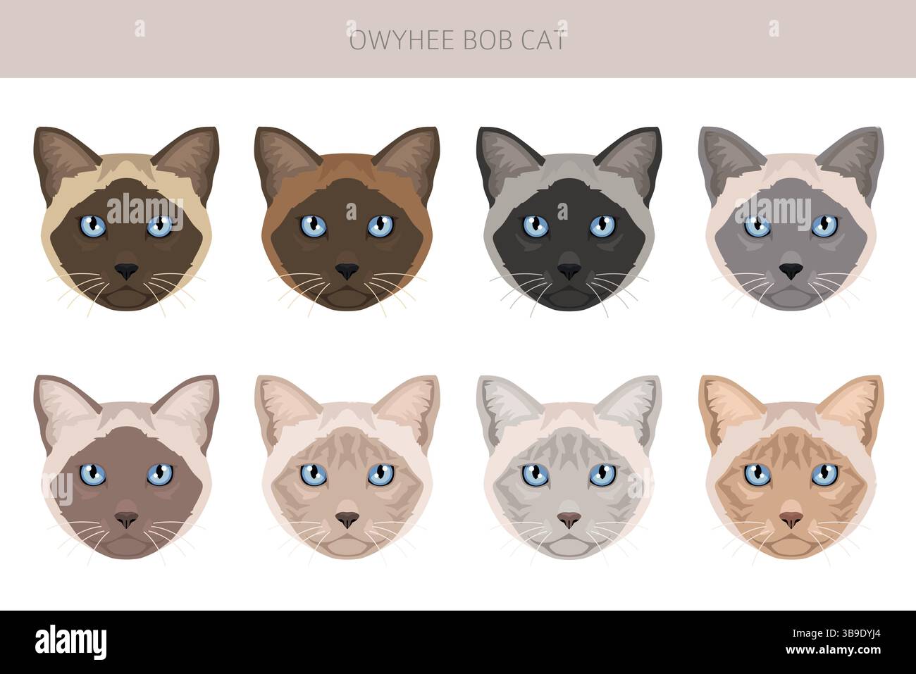Owyhee Bob Cat clipart. All coat colors set. All cat breeds ...