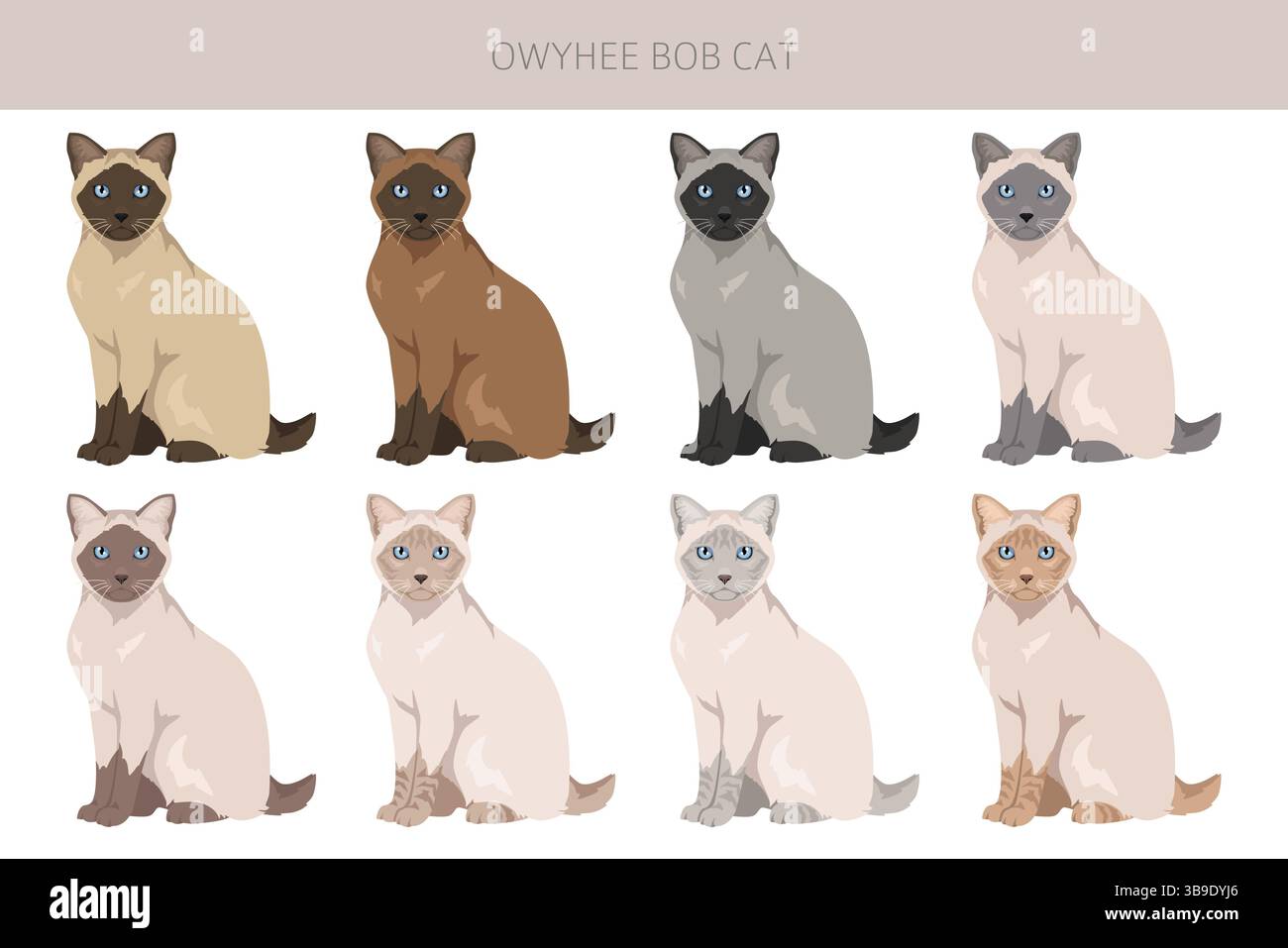 Owyhee Bob Cat clipart. All coat colors set. All cat breeds ...