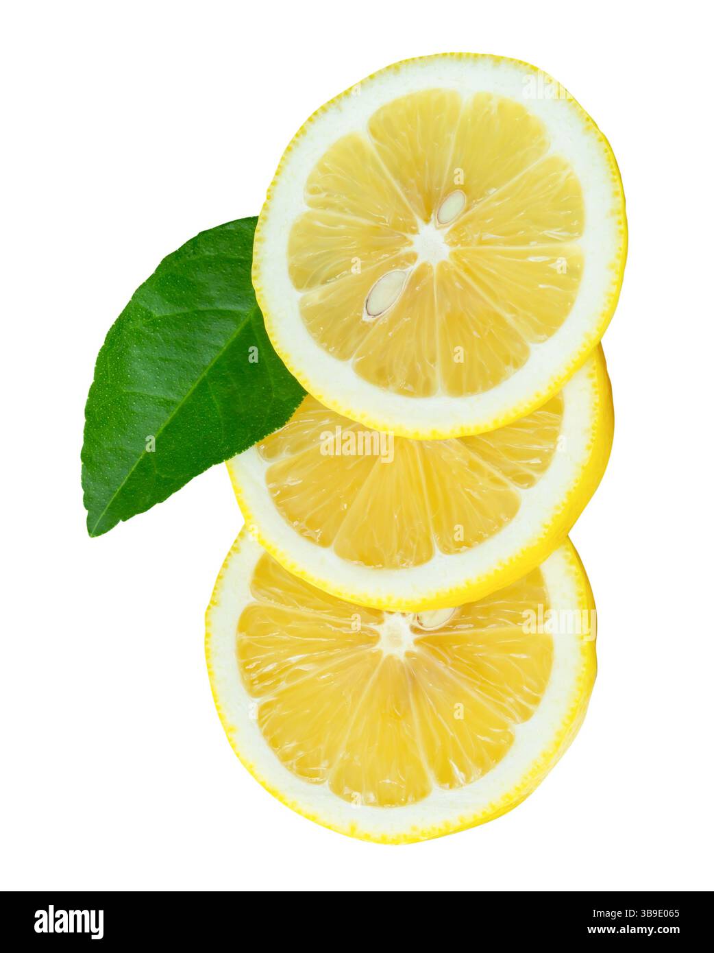 Front view of ripe yellow lemon fruit in three slices or three circles ...