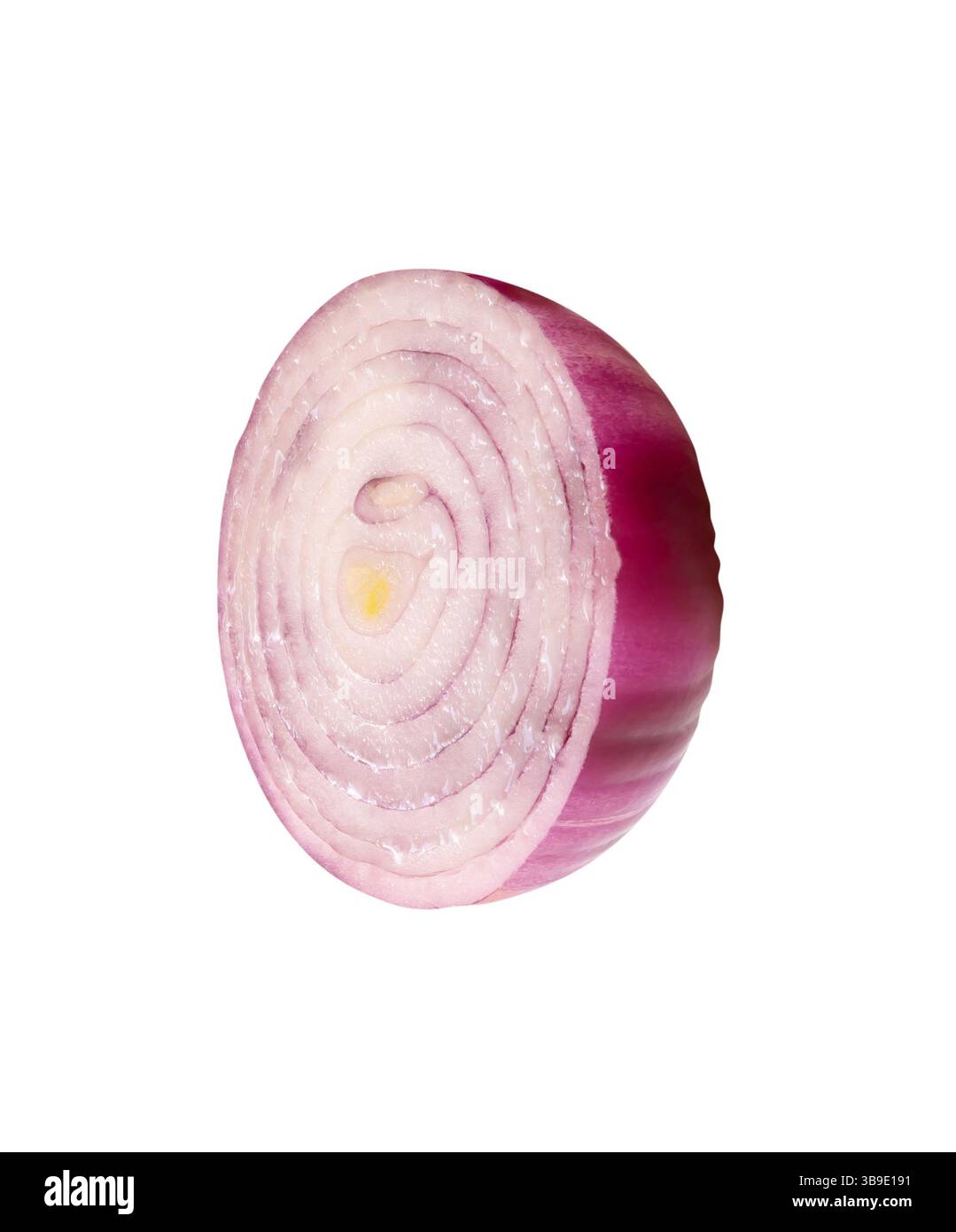 Fresh peeled red or purple Spanish onion bulb in half is isolated on ...