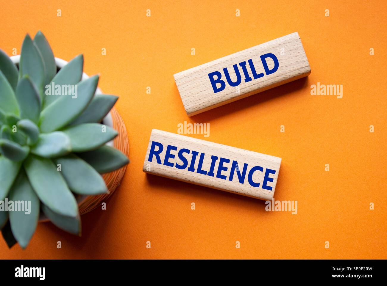 Build resilience symbol. Wooden blocks with words Build resilience ...