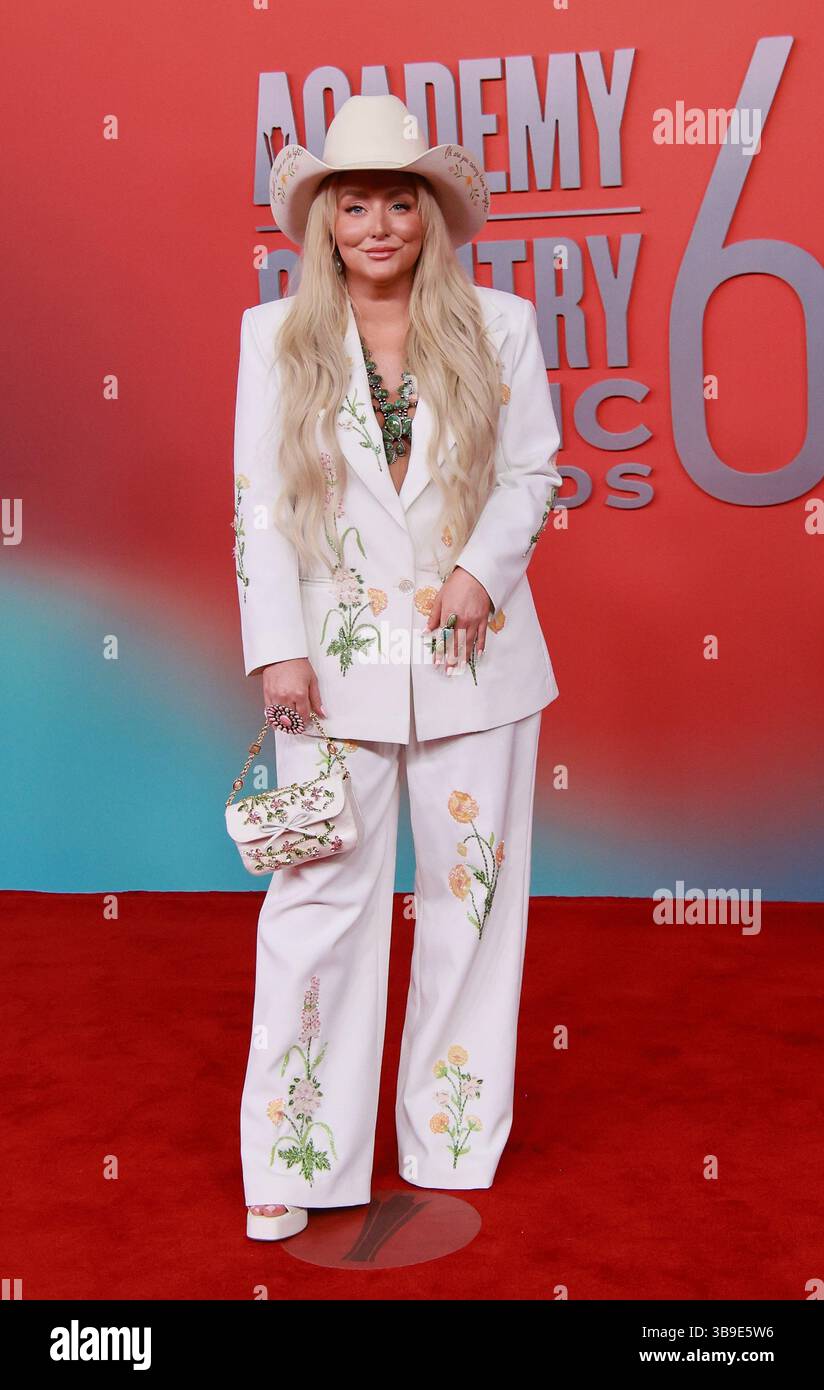 Jessie Jo Dillon attends the 60th Academy of Country Music Awards at ...