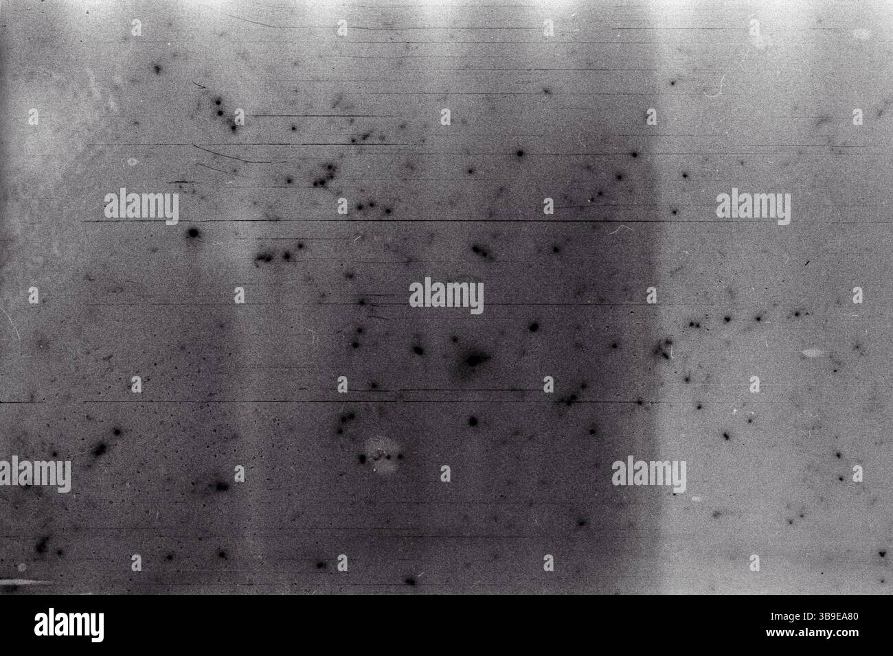 Blank grained film strip texture background with heavy grain, dust and ...