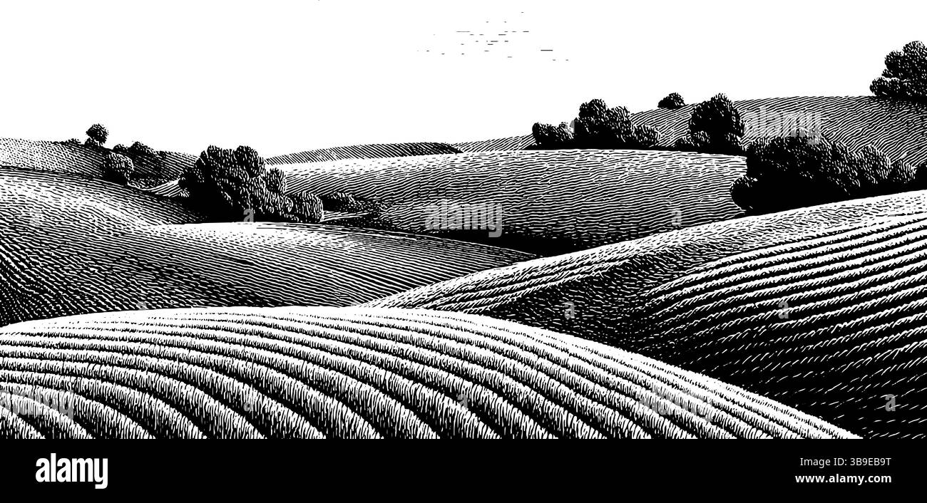 Engraved farmland illustration with rolling hills for landscape design ...