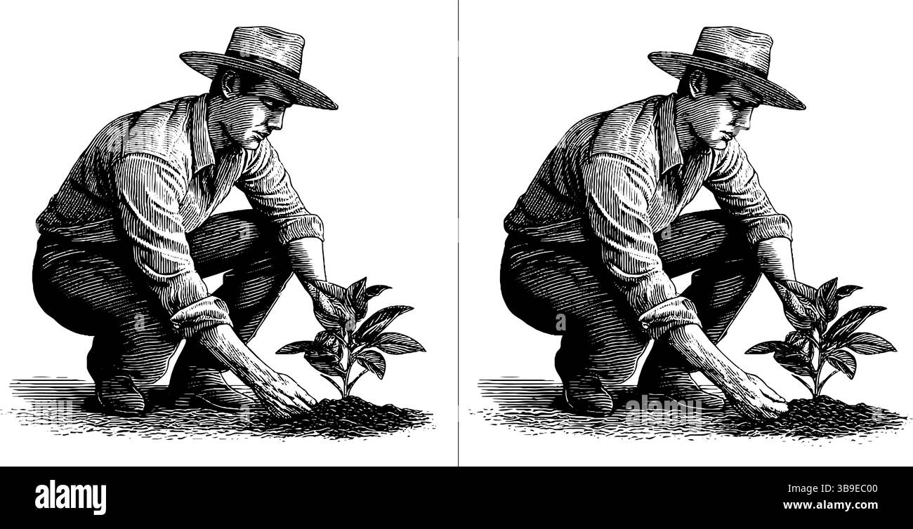 Engraved illustration of farmer planting seedlings for agricultural ...