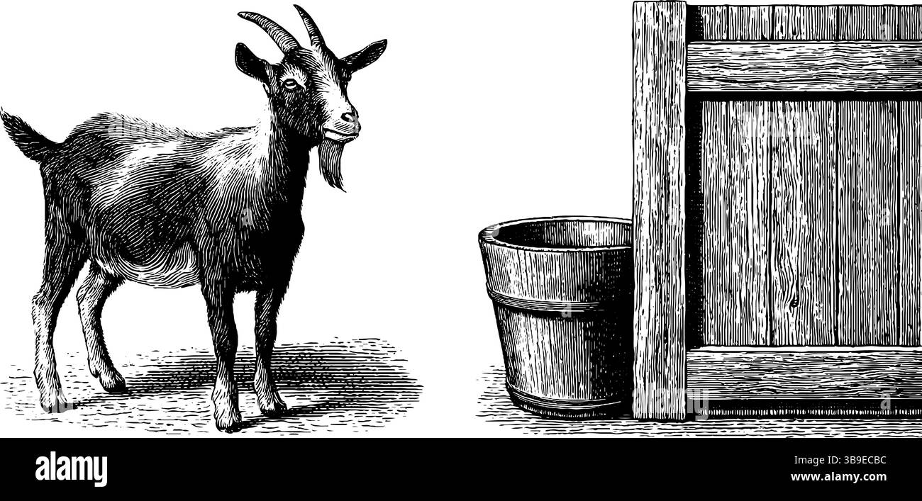 Engraved illustration of goat and milking pail for rustic farm design ...