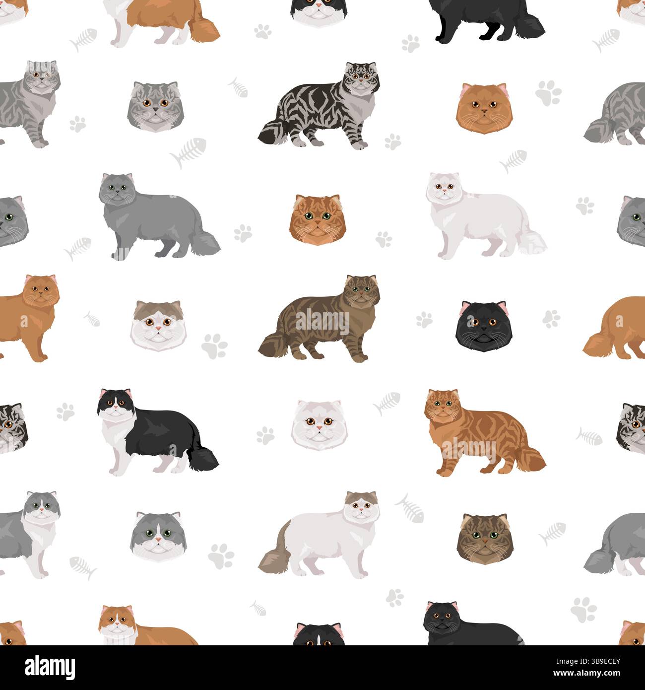 Persian Cat longhaired clipart. Modern type persian cat. All coat ...