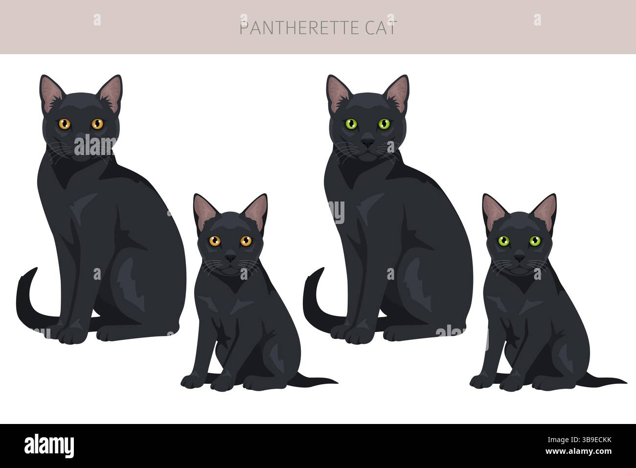 Pantherette Cat clipart. All coat colors set. All cat breeds ...