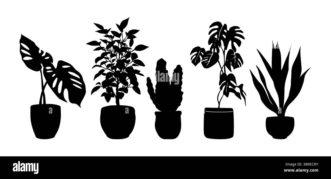 Silhouettes of different House Plants in pot set Stock Vector Image ...