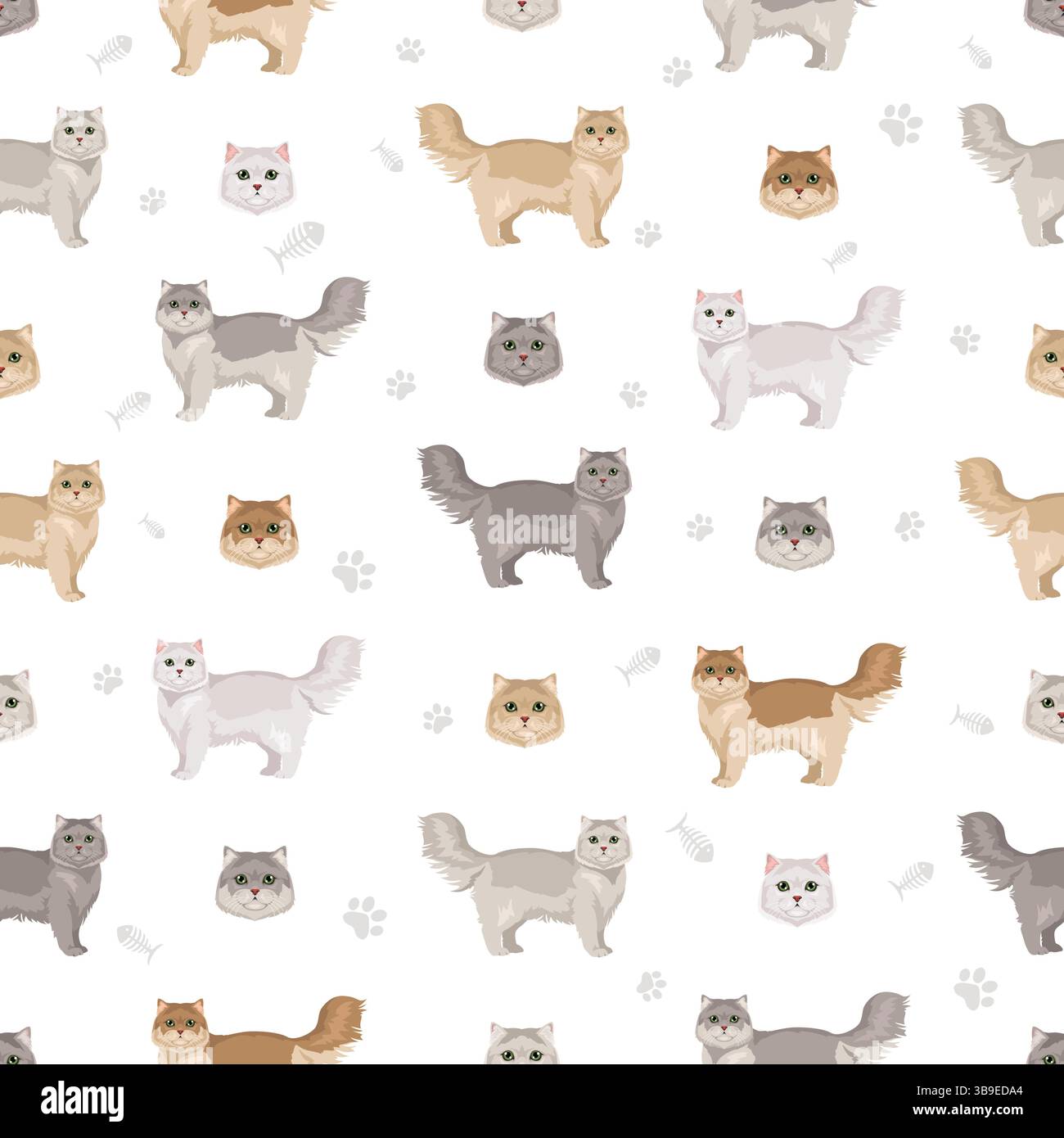 Chinchilla Persian Cat longhaired clipart. Traditional classic type ...