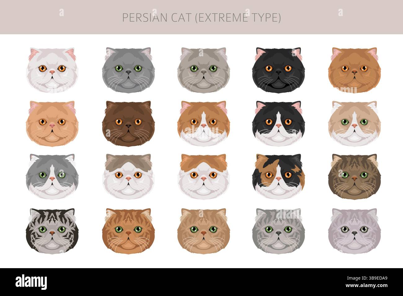 Persian Cat longhaired clipart. Extreme type persian cat. All coat ...