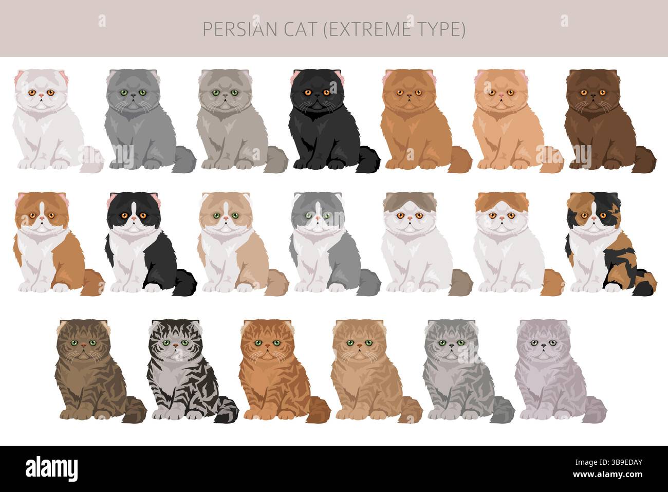 Persian Cat longhaired clipart. Extreme type persian cat. All coat ...