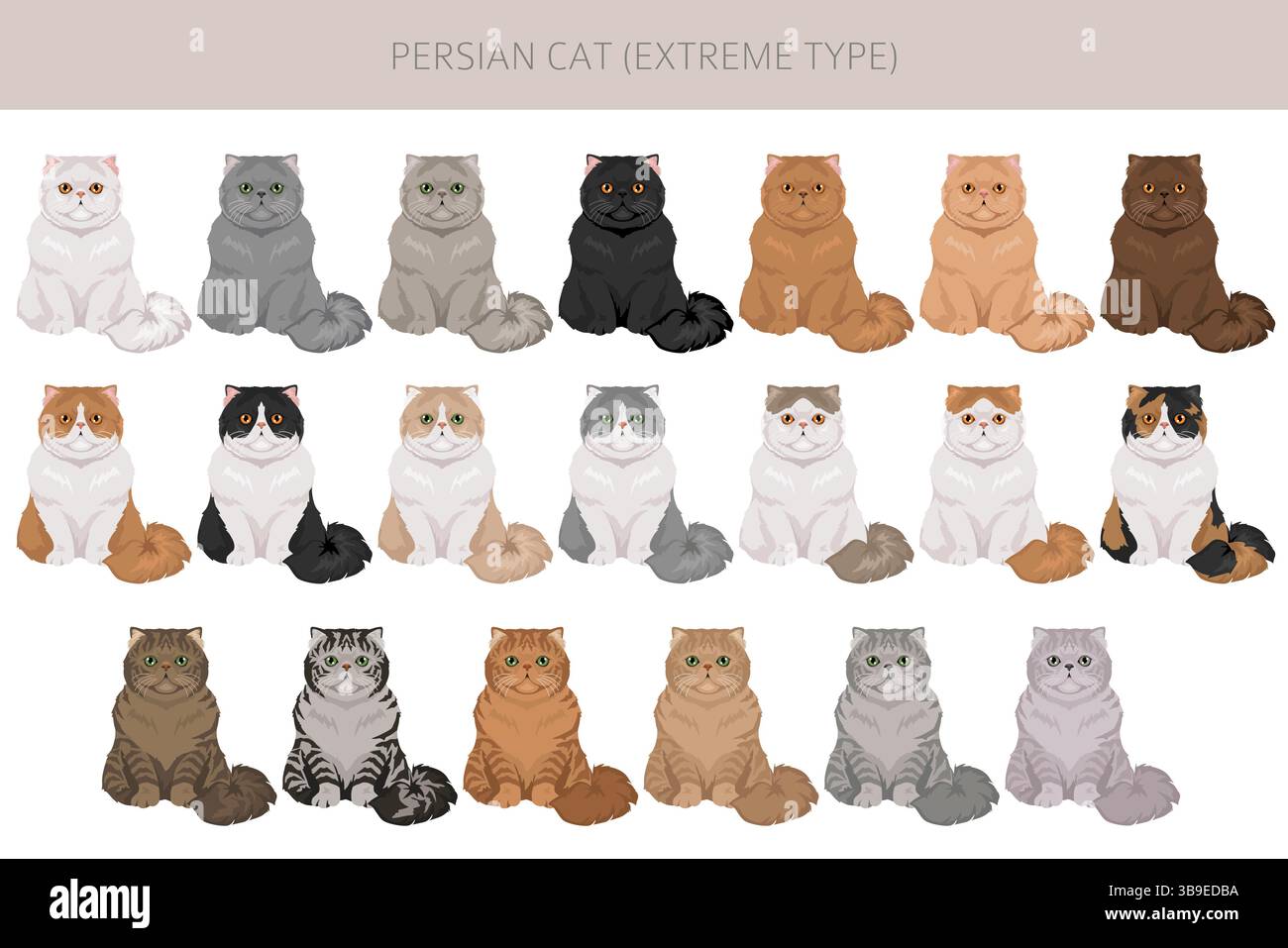 Persian Cat longhaired clipart. Extreme type persian cat. All coat ...