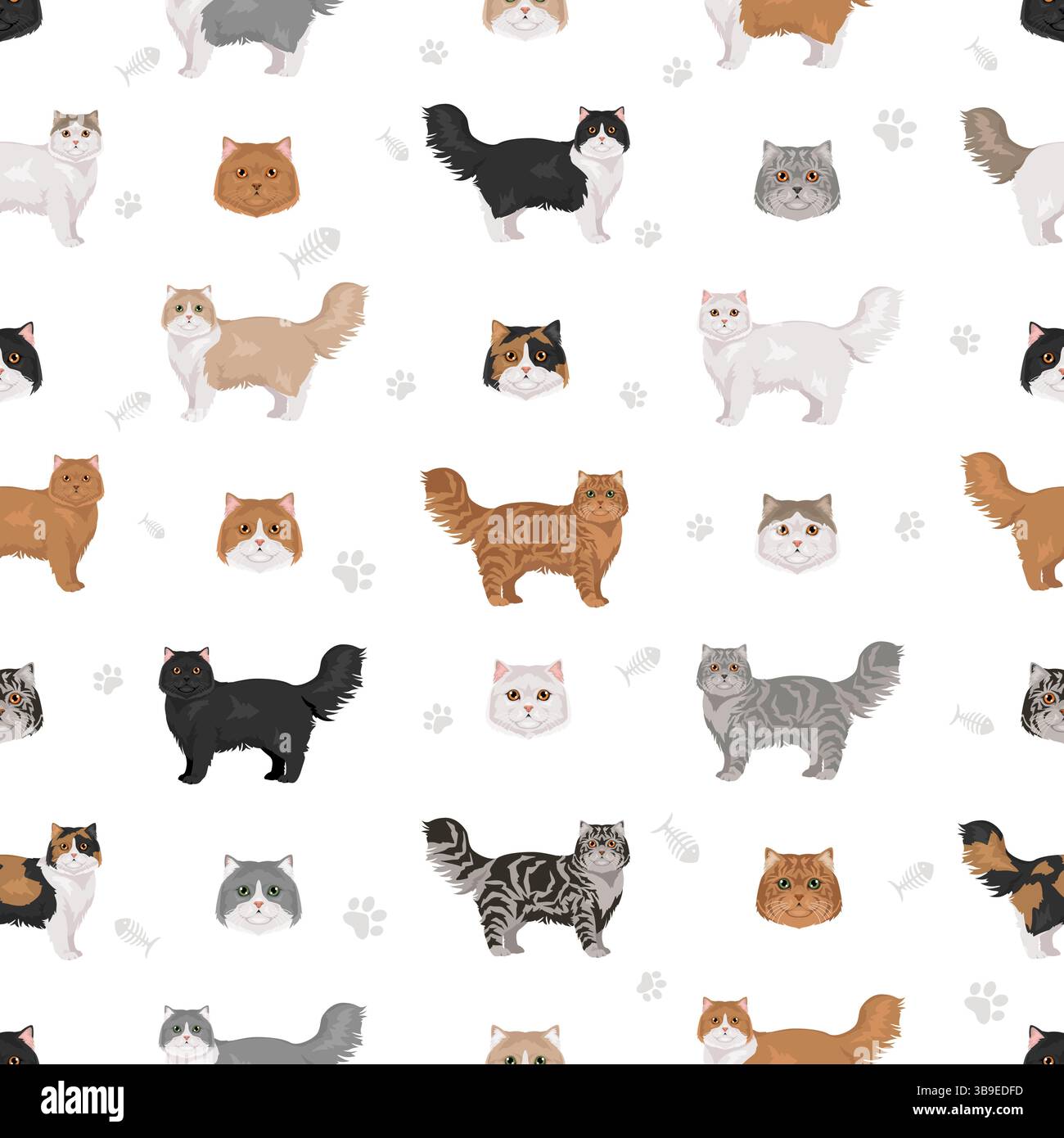 Persian Cat longhaired clipart. Traditional classic type persian cat ...