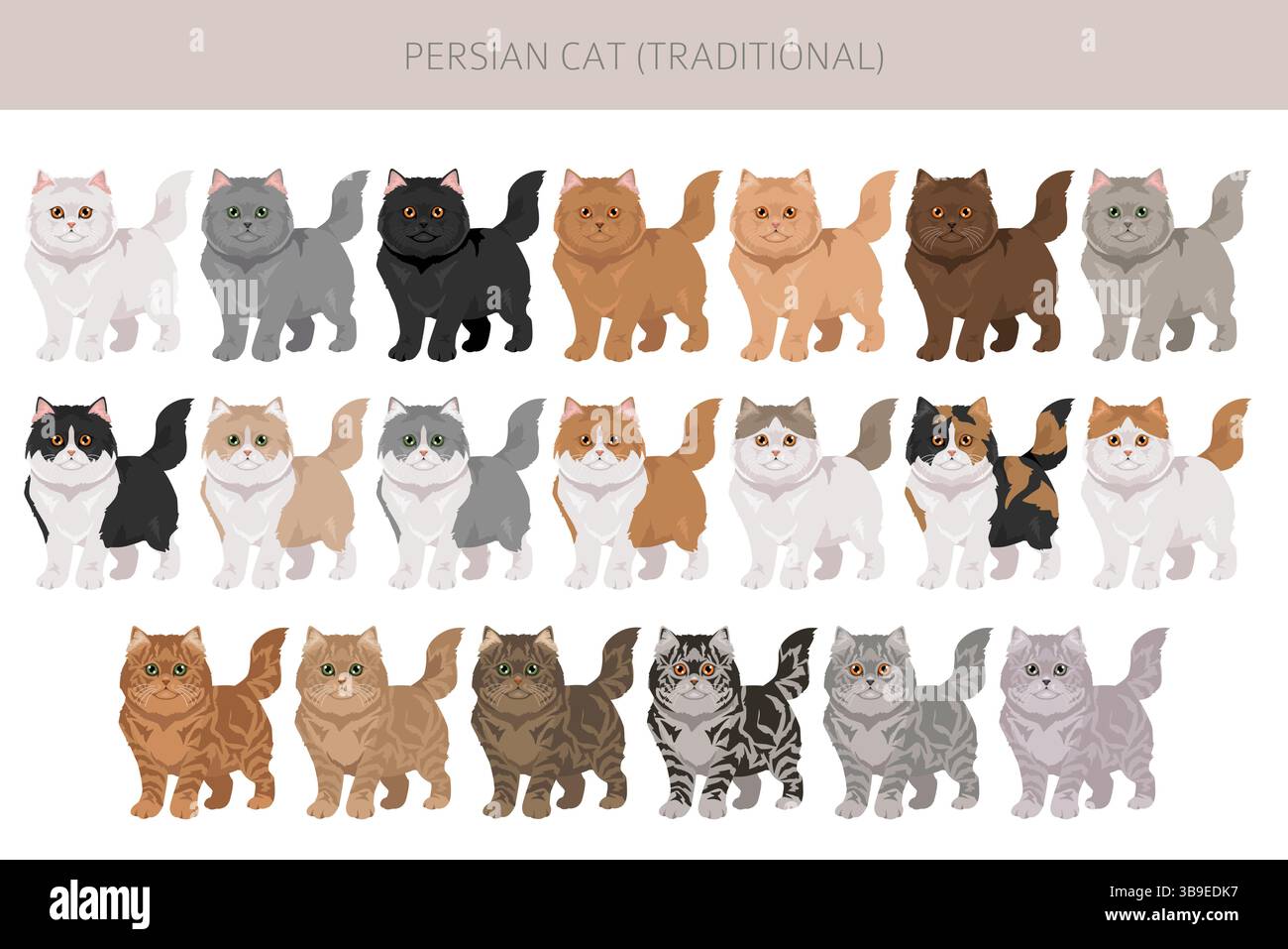 Persian Cat longhaired clipart. Traditional classic type persian cat ...