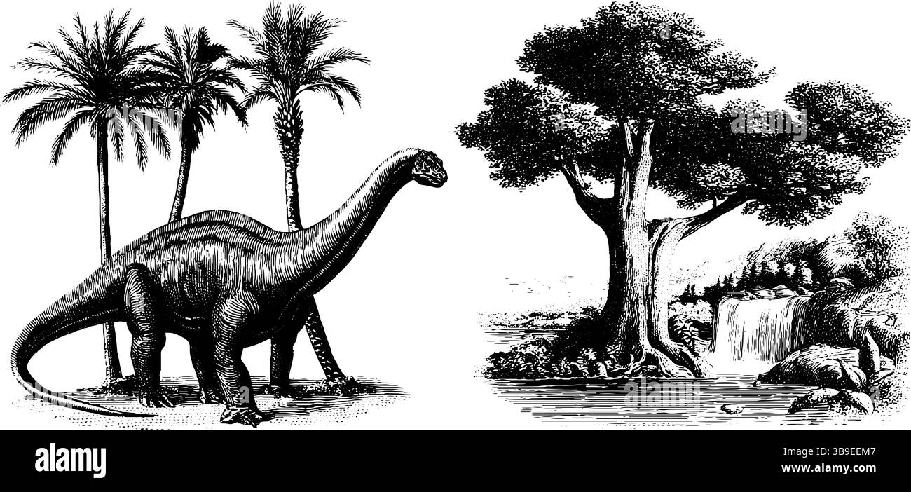 Engraved illustration of brachiosaurus eating among trees for ...