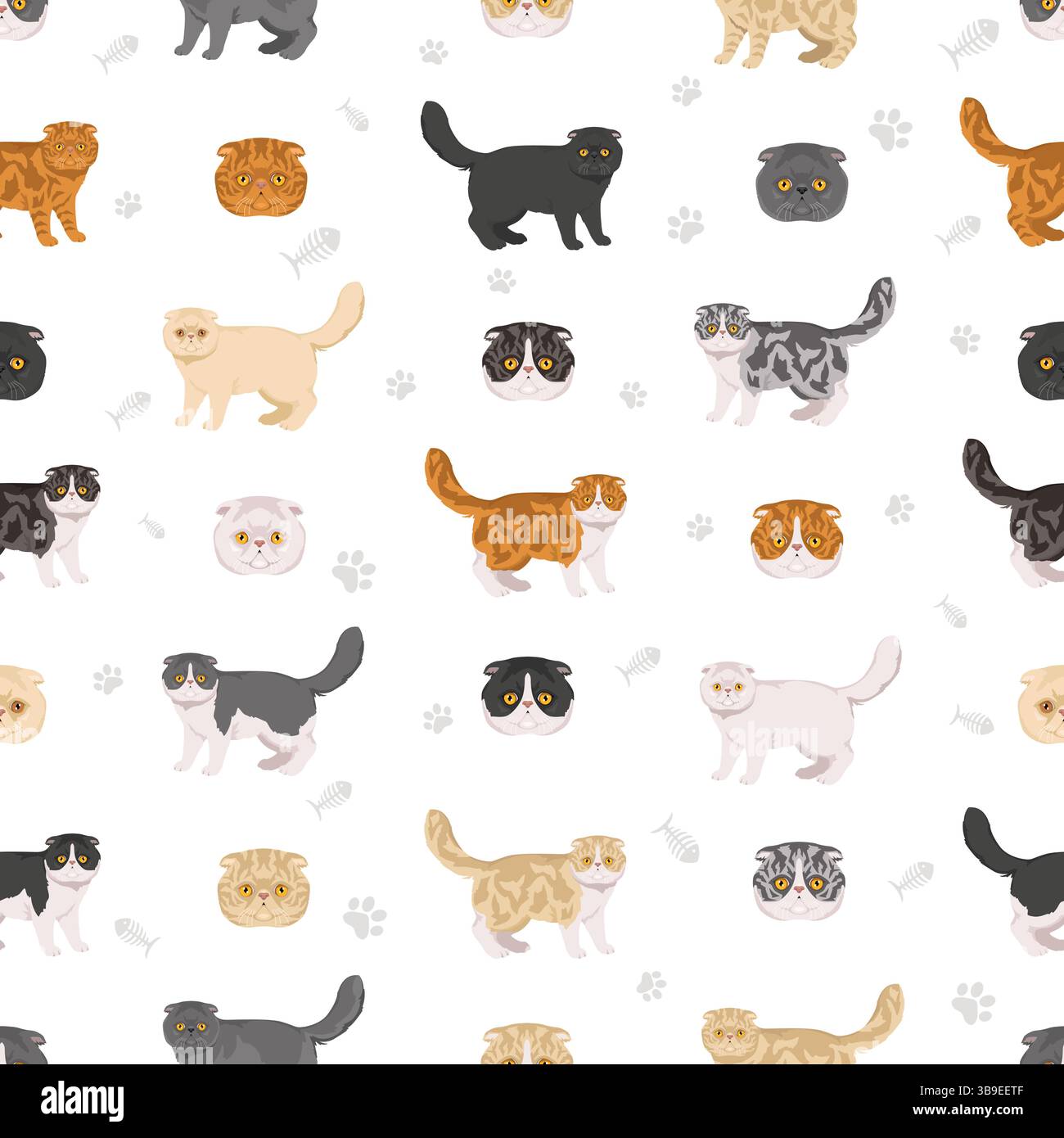 Foldex cat, Exotic Fold Cat clipart. All coat colors set. All cat ...