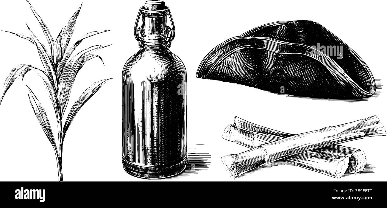 Vintage nautical theme with rum bottle, pirate hat, and sugar cane ...
