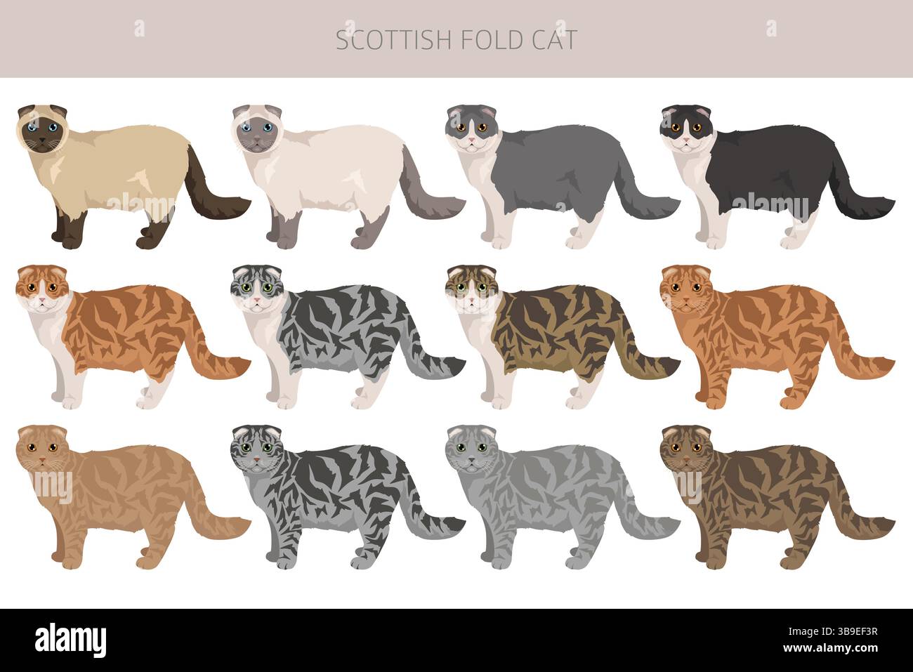Scottish Fold Cat clipart. All coat colors set. All cat breeds ...