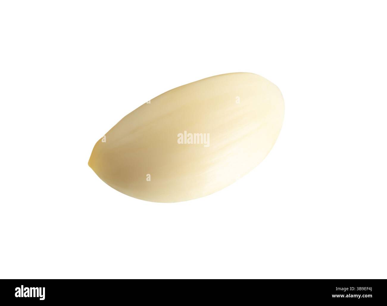 Side view of single peeled garlic clove or piece is isolated on white ...
