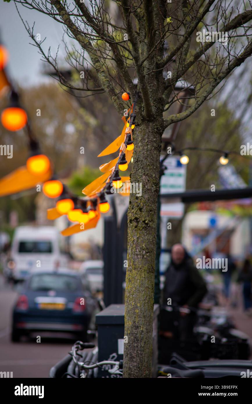 A tree wrapped in orange propeller-shaped lights stands out, while a ...