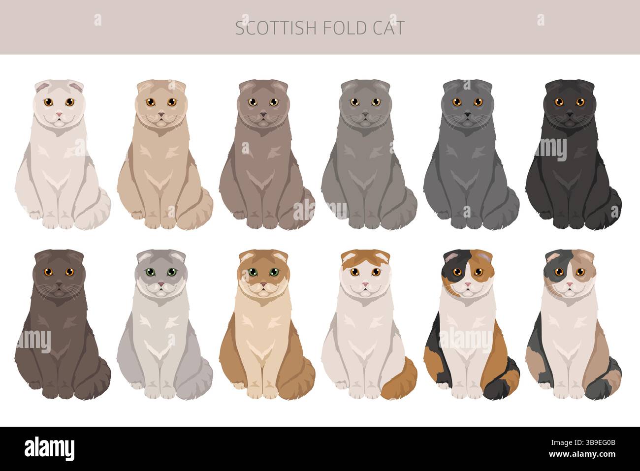 Scottish Fold Cat clipart. All coat colors set. All cat breeds ...