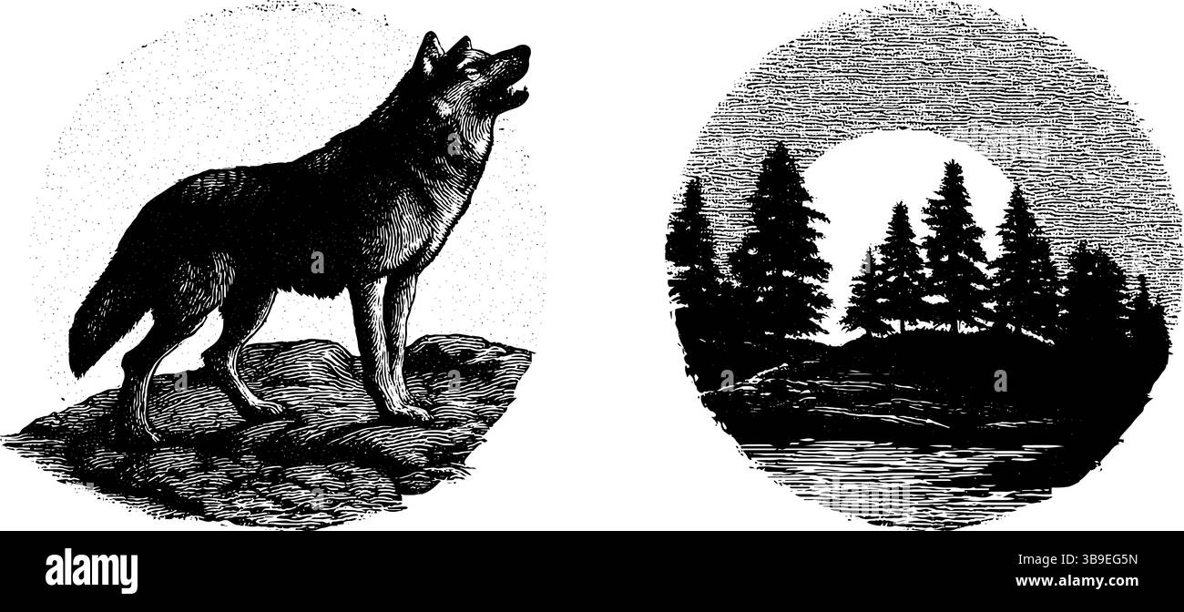 Engraved illustration set of wolf and forest scene for nature-inspired ...