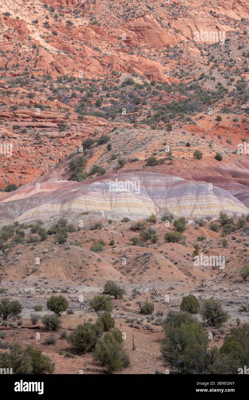 Rainbow Colored Mountains in Paria Canyon Vermilion Cliffs Stock Photo ...