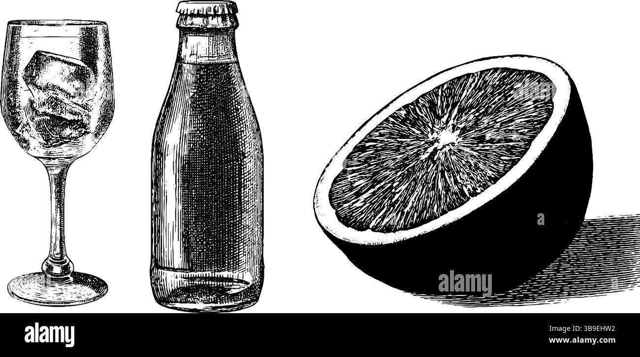 Engraved set of aperol spritz elements with orange and bottle for ...