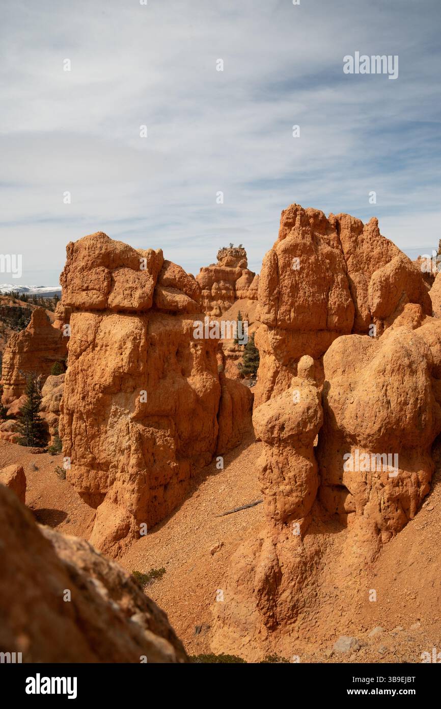 Dixie National Forest, Utah Stock Photo - Alamy