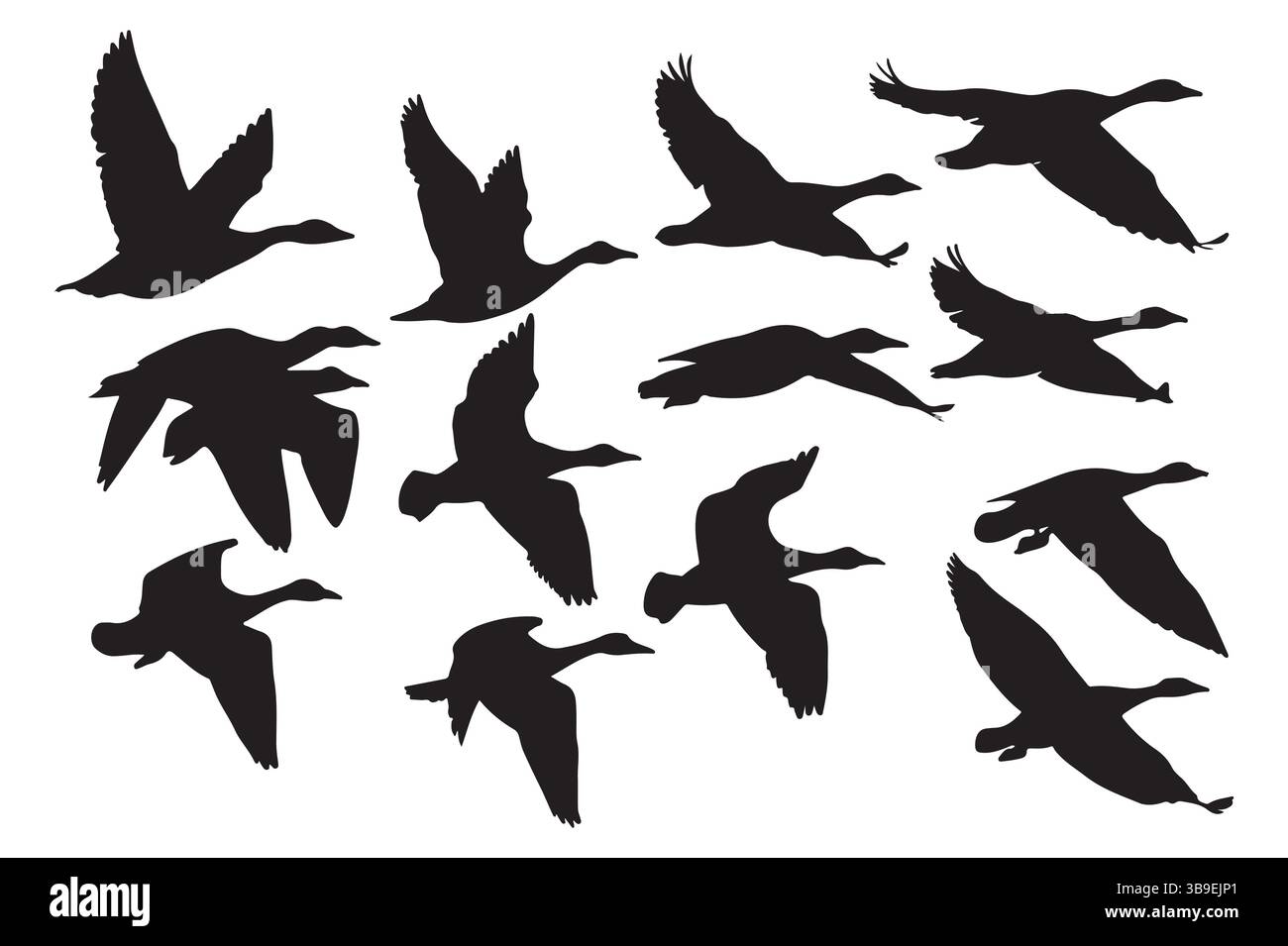 Flying Bird Silhouette Vector Bundle for Designers Stock Vector Image ...