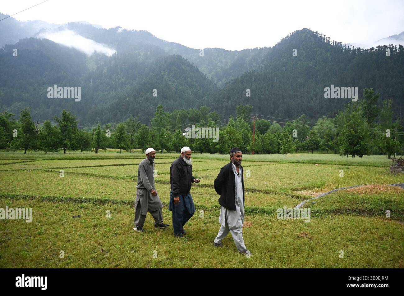 URI, INDIA - MAY 9: People walk in a field after a Pakistani artillery ...