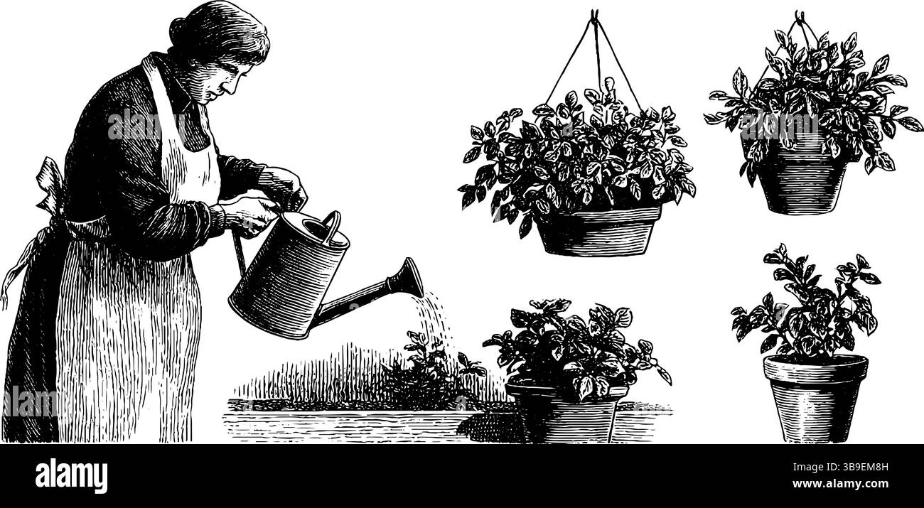 Elderly watering flowers Black and White Stock Photos & Images - Alamy