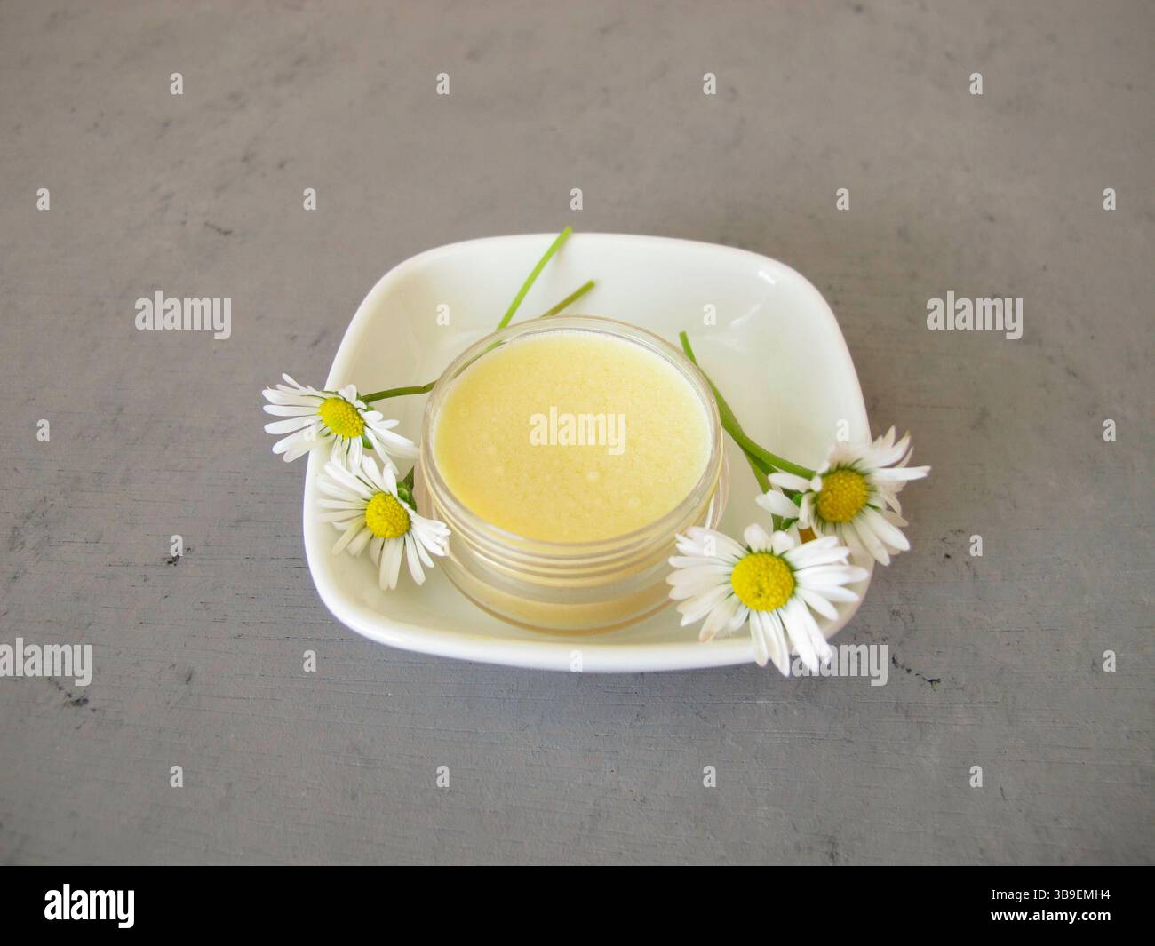 Homemade daisy ointment with daisy extract in a small jar Stock Photo ...