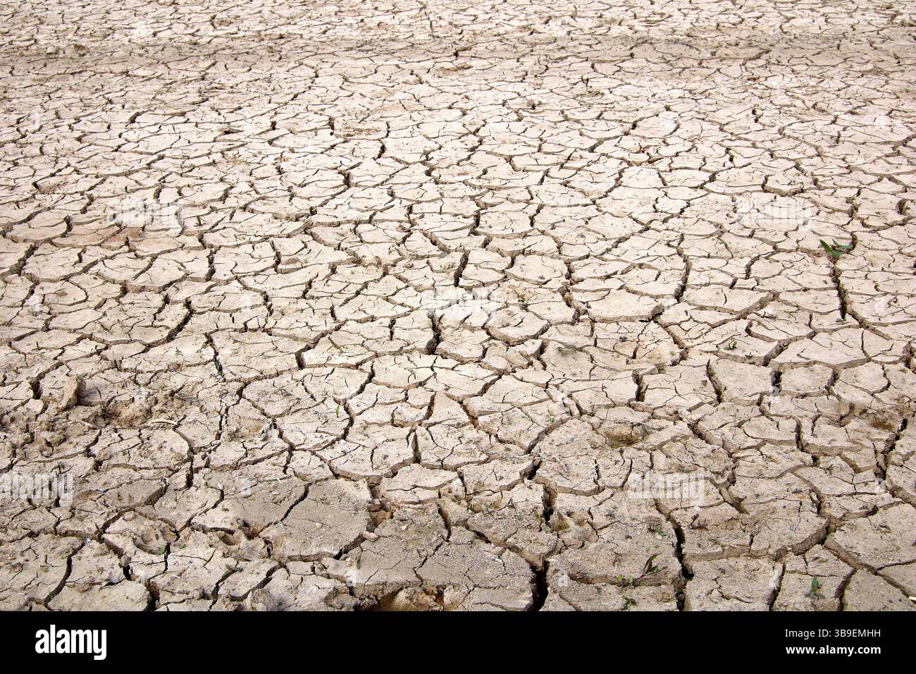 No life without water Stock Photo - Alamy